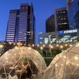 BLUE HOUND KITCHEN & COCKTAILS - Updated December 2025 - 1257 Photos ...