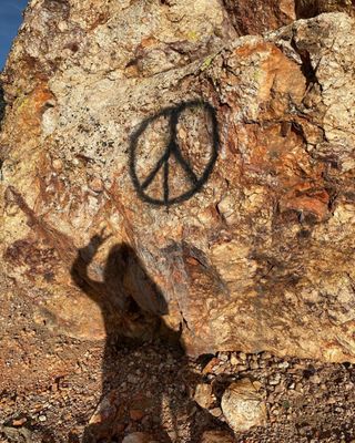 GEIGER LOOKOUT - Updated January 2025 - 75 Photos & 12 Reviews - State ...