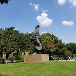 UNIVERSITY OF NORTH TEXAS - 231 Photos & 62 Reviews - 1155 Union Cir ...