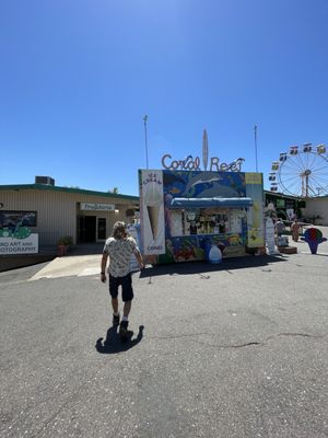 CALAVERAS COUNTY FAIR & JUMPING FROG JUBILEE - Updated December 2025 ...