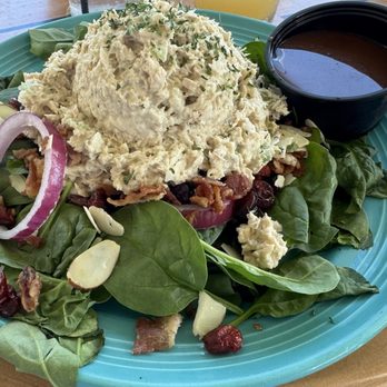 CONCH CAFE - Updated April 2025 - 273 Photos & 388 Reviews - 1870 N ...