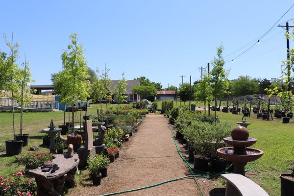 BRAZOS VALLEY TREE FARM NURSERY AND GARDEN CENTER - Updated July 2025 - 34 Photos - 14711 Fm ...