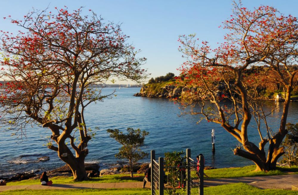 GREEN POINT RESERVE - Watsons Bay New South Wales, Australia - Parks - Yelp