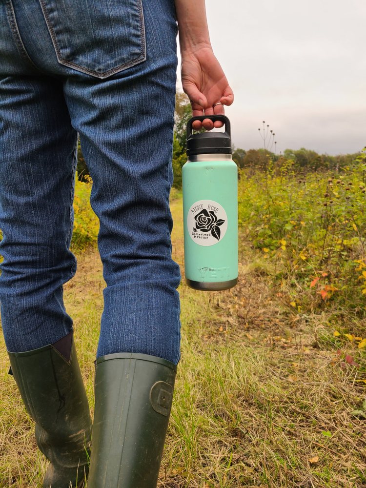 STONY ROSE HOMESTEAD - Updated July 2025 - 20 Photos - Kingston, New ...