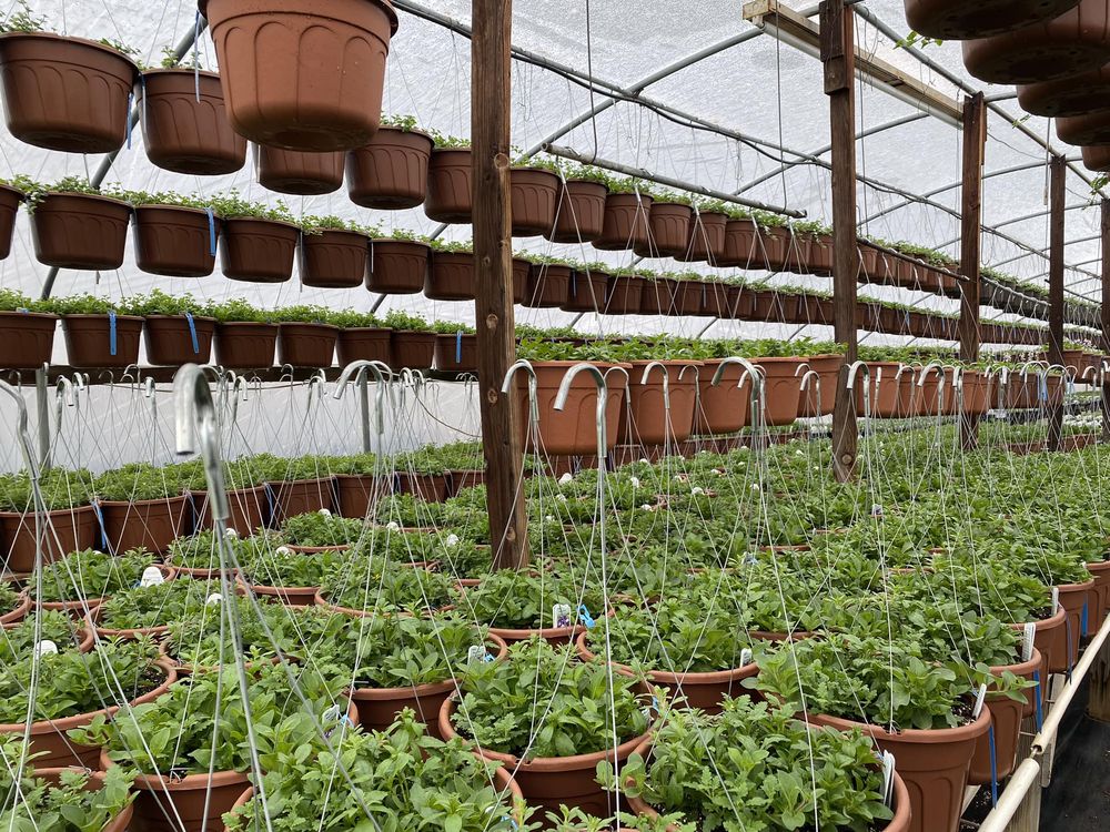 STOLLER FARMS - Updated January 2026 - 42 Photos - 14682 S Herman Rd ...