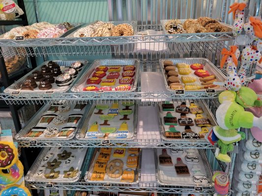 SALTY PAWS - Updated May 2024 - 54 Photos & 15 Reviews - 211 S 17th St ...