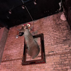 FLOPPY DISK REPAIR - 283 Photos & 211 Reviews - 119 E 5th St, Austin ...