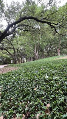 CELESTIAL PARK - Updated December 2025 - 34 Photos & 33 Reviews - 5501 ...