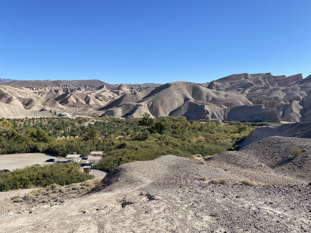 CHINA RANCH DATE FARM - 376 Photos & 100 Reviews - 8 China Ranch Rd ...