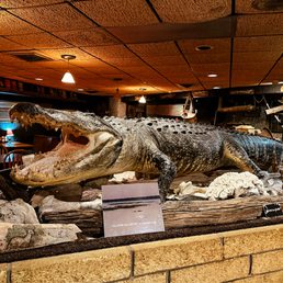 THE YEARLING RESTAURANT - Updated January 2026 - 392 Photos & 192 ...