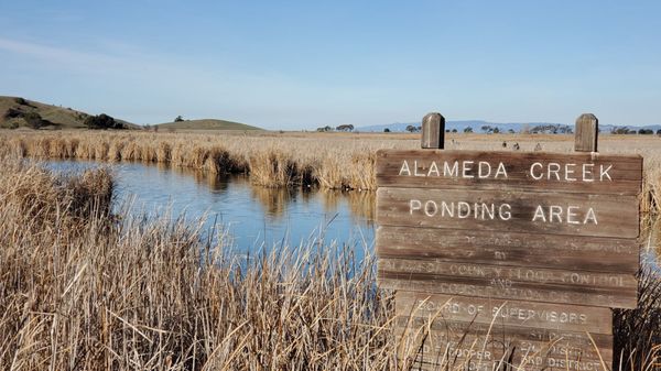 COYOTE HILLS REGIONAL PARK - Updated January 2025 - 2232 Photos & 407 ...