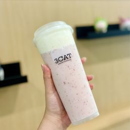 3CAT HANDCRAFTED BEVERAGE - Updated July 2025 - 264 Photos & 210 ...