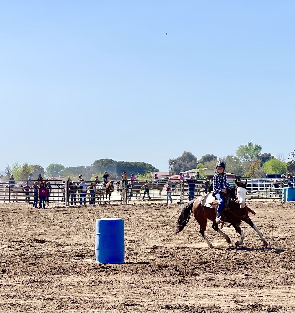 ALL STAR TRAINING - Updated April 2025 - 67 Photos & 27 Reviews - 1765 ...