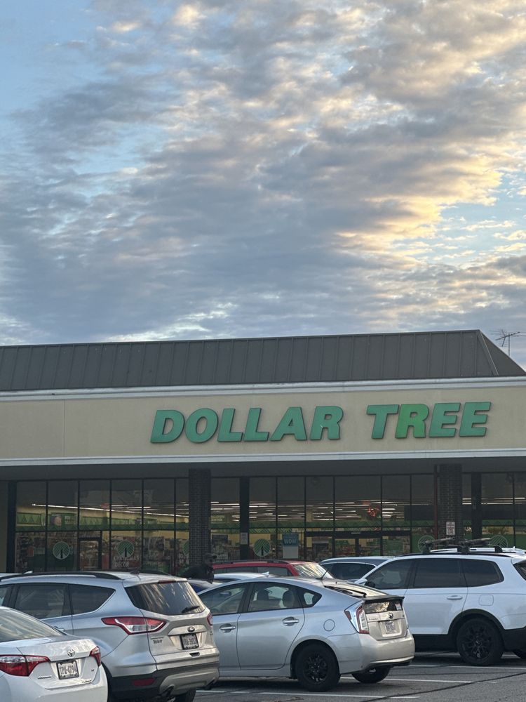 DOLLAR TREE - Updated December 2025 - 73 Photos & 25 Reviews - 9232 Old ...