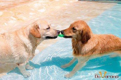 CENTRO DE VARONA - Updated December 2025 - 30 Photos - Calle De Varona ...