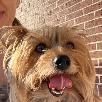 TEXAS COALITION FOR ANIMAL PROTECTION - HURST - Updated July 2025 - 64 ...