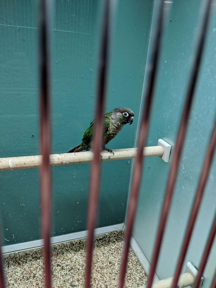 MONSTER PETS - 35 Photos & 89 Reviews - 1946 S Christopher Columbus ...