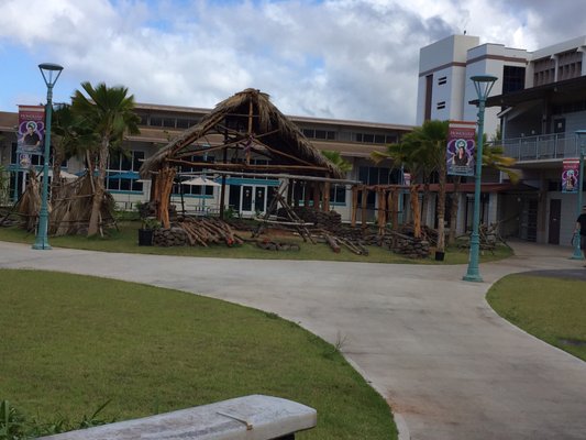 HONOLULU COMMUNITY COLLEGE - Updated August 2025 - 37 Photos & 27 ...