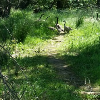MATHER FIELD LAKE REGIONAL PARK - Updated October 2025 - 346 Photos ...