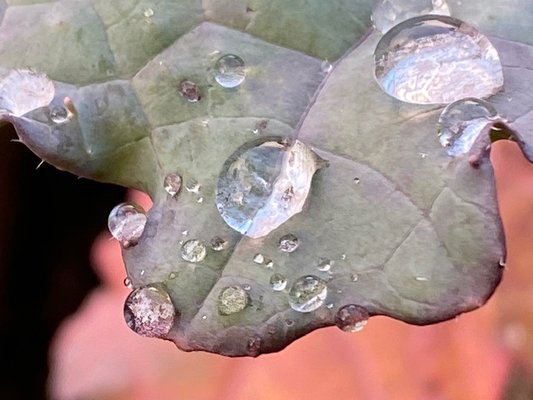 ARNOLD SEID, MD - Updated October 2025 - 14 Reviews - 91-902 Fort ...