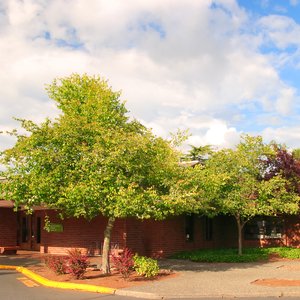 BURIEN LIBRARY - Updated December 2025 - 30 Photos & 34 Reviews - 400 ...