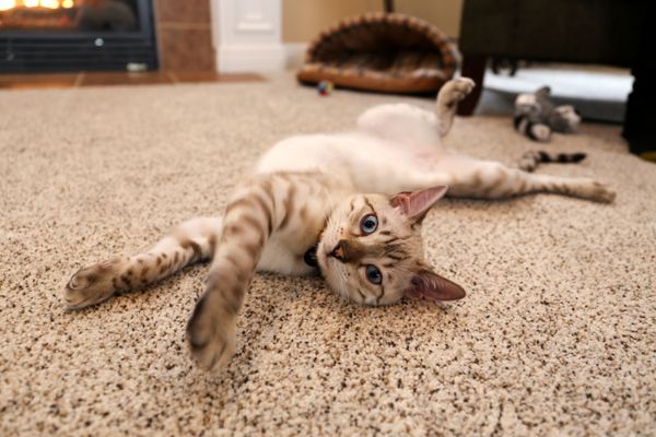 FOX 19 WXIX-TV - Updated October 2025 - 26 Reviews - 635 W 7th ...