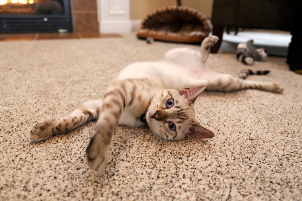 FOX 19 WXIX-TV - Updated January 2025 - 15 Reviews - 635 W 7th ...