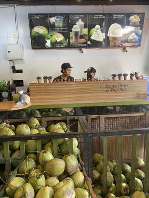 THE ROYAL COCONUT - Updated November 2024 - 44 Jalan Pantai, Kota ...