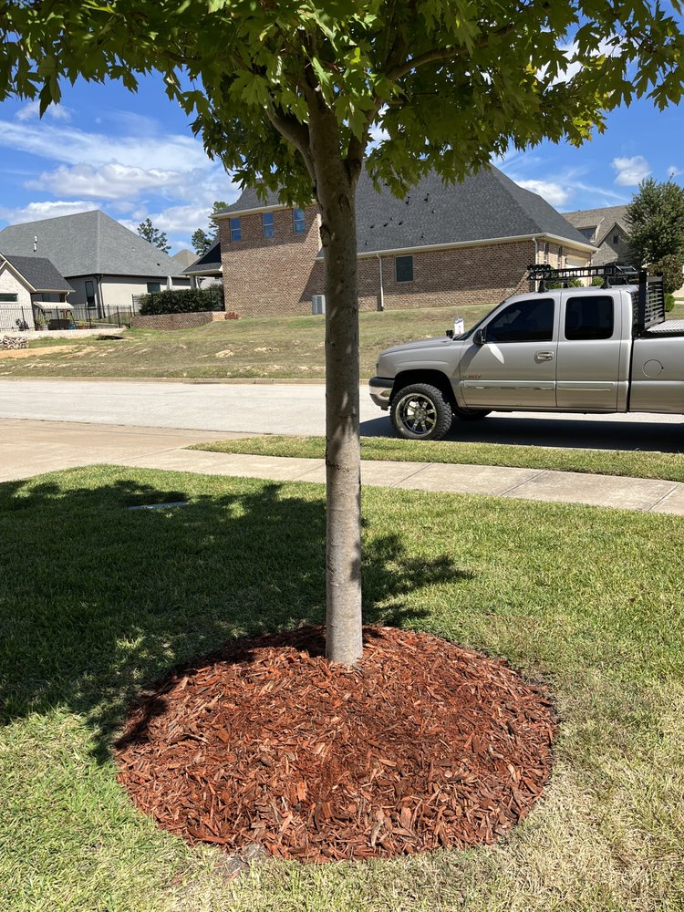 FALCON LANDSCAPE - Updated June 2025 - Request a Quote - Tyler, Texas ...