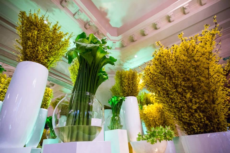 IL PISELLO ODOROSO - Updated July 2025 - Via Forte Boccea 51D, Roma ...