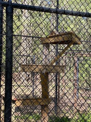 DAUSET TRAILS NATURE CENTER - Updated October 2025 - 46 Photos & 19 ...