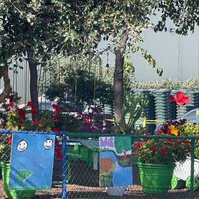 TRI-CED COMMUNITY RECYCLING - Updated December 2025 - 415 Photos & 127 ...