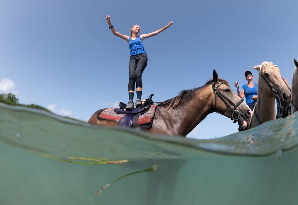 EQUUS RIDES - Updated June 2024 - 48 Photos & 20 Reviews - Cane Bay ...