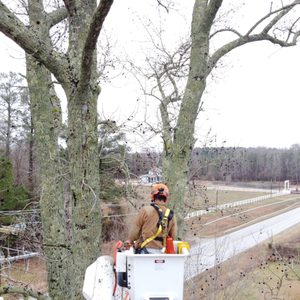 GAUSE GLASS COMPANY - Updated October 2024 - 13 Reviews - 117 ...