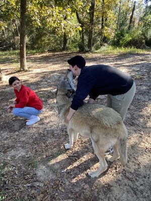 SEACREST WOLF PRESERVE - Updated January 2025 - 119 Photos & 67 Reviews ...