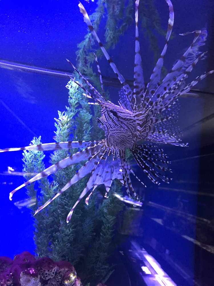 FISH BOWL AQUARIUM - 11 Photos & 31 Reviews - 725 Providence St, West ...