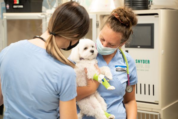 BOUNDARY BAY VETERINARY SPECIALTY HOSPITAL - Updated January 2026 - 54 ...