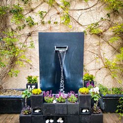 ROOTVISION ENDO - 42 Photos & 181 Reviews - 3663 Torrance Blvd ...