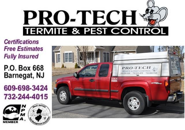 PRO TECH TERMITE AND PEST CONTROL - Updated October 2025 - 11 Walnut St, Ocean Township, New ...