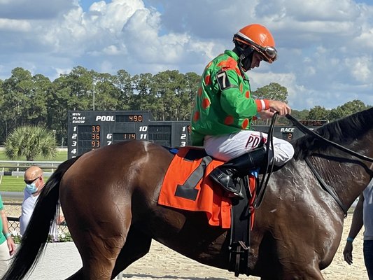 TAMPA BAY DOWNS - Updated November 2024 - 156 Photos & 90 Reviews ...