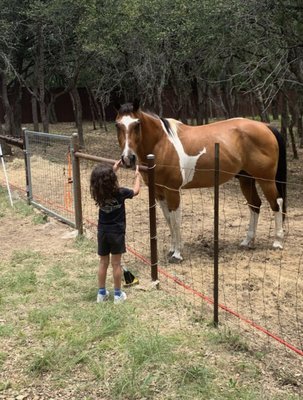 WINDING BRANCH RANCH - Updated October 2025 - 13 Photos - 30640 Leroy ...