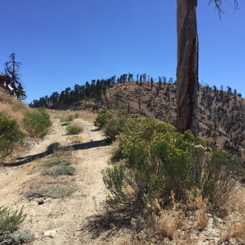 MT. PACIFICO CAMPGROUND - Updated January 2026 - 36 Photos - California ...