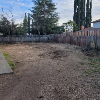 CBC TREE SERVICES INC - Updated November 2024 - 248 Photos & 75 Reviews ...