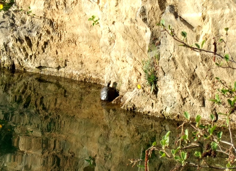 BAGGERSEE - Updated March 2024 - 19 Photos - In der Au 40, Diez ...