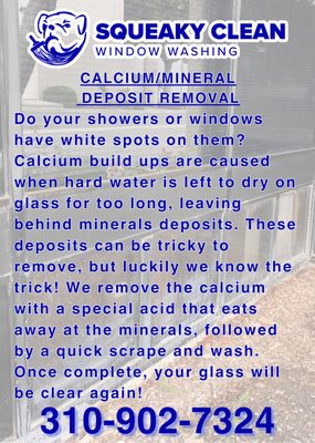 SQUEAKY CLEAN WINDOW WASHING - Updated September 2025 - 27 Photos & 19 ...