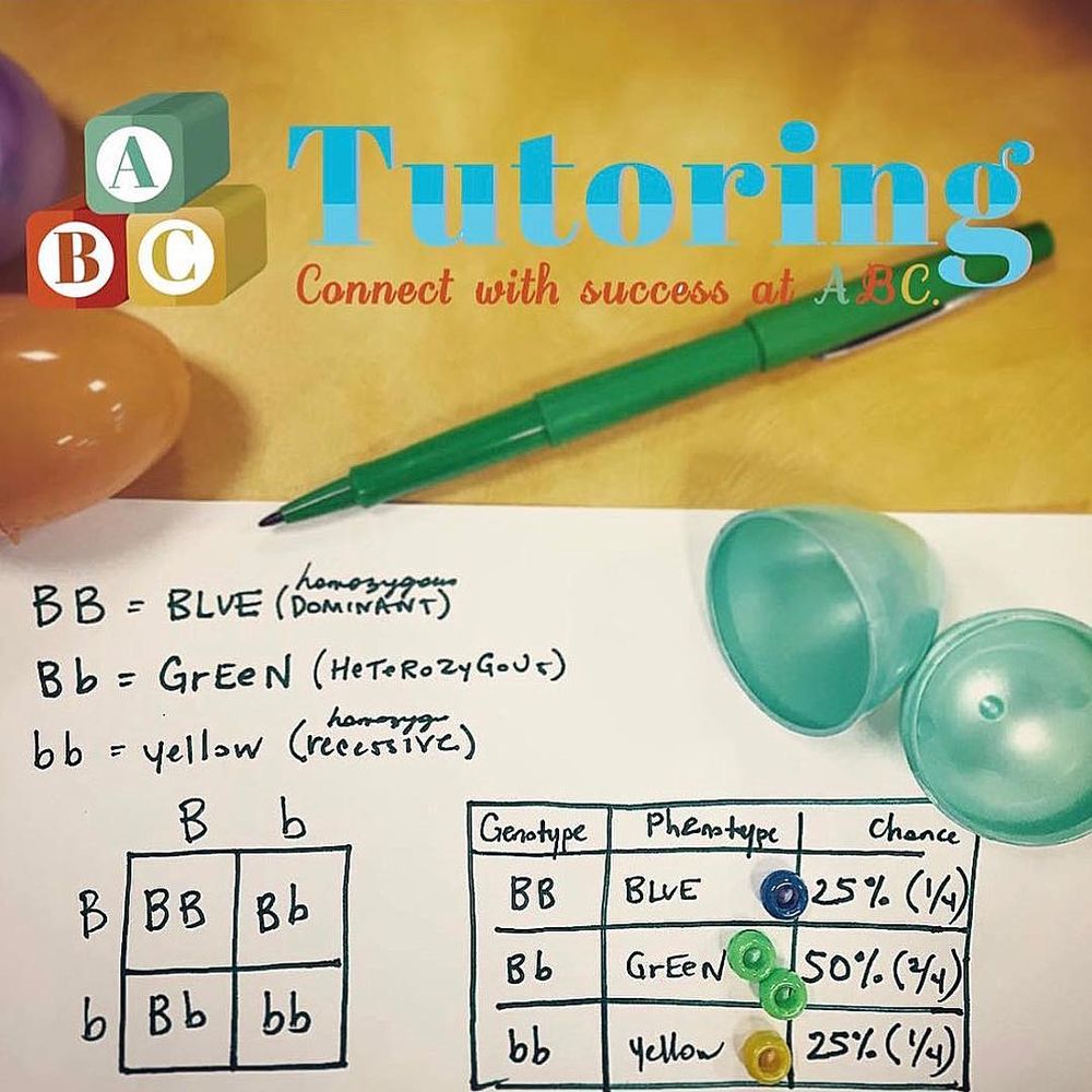 ABC TUTORING - Updated December 2024 - Request Information - 14 Photos ...