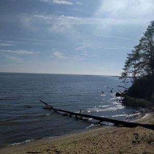 NORTH POINT STATE PARK - 83 Photos & 26 Reviews - Parks - 8700 North ...