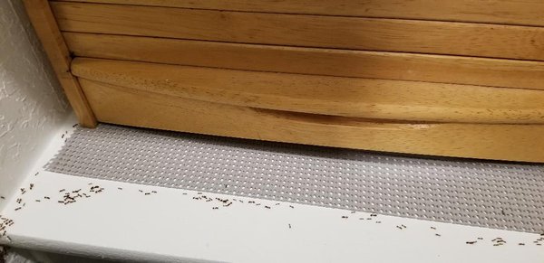 WHITE KNIGHT PEST CONTROL - Updated October 2025 - 25 Photos & 109 ...