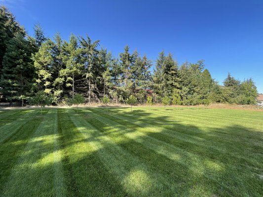 OASIS LANDSCAPE - Updated June 2026 - 18 Photos - 265 25th St NE, Salem ...