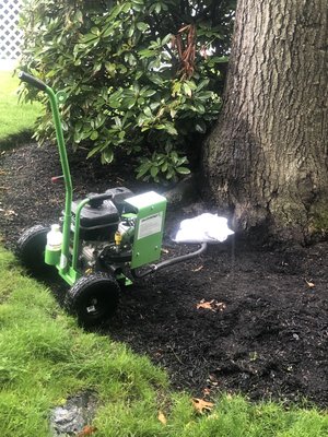 YANKEE PEST CONTROL - Updated October 2025 - 27 Photos & 39 Reviews ...